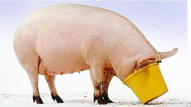 How a week is not a long time in the public service - The Centre for ...