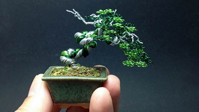 Bonsai business - The Centre for Independent Studies