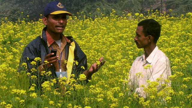 Food security key to stability - The Centre for Independent Studies
