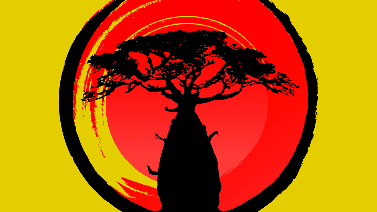 Renewable energy has economic potential for Indigenous communities