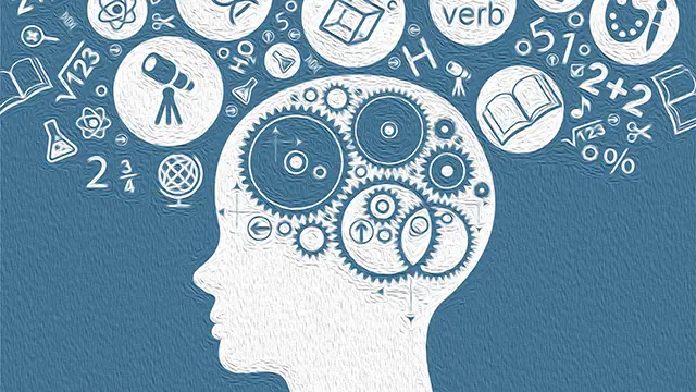 What is the Science of Learning? - The Centre for Independent Studies